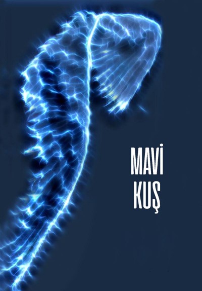 Mavi Kuş | tiyatrolar.com.tr